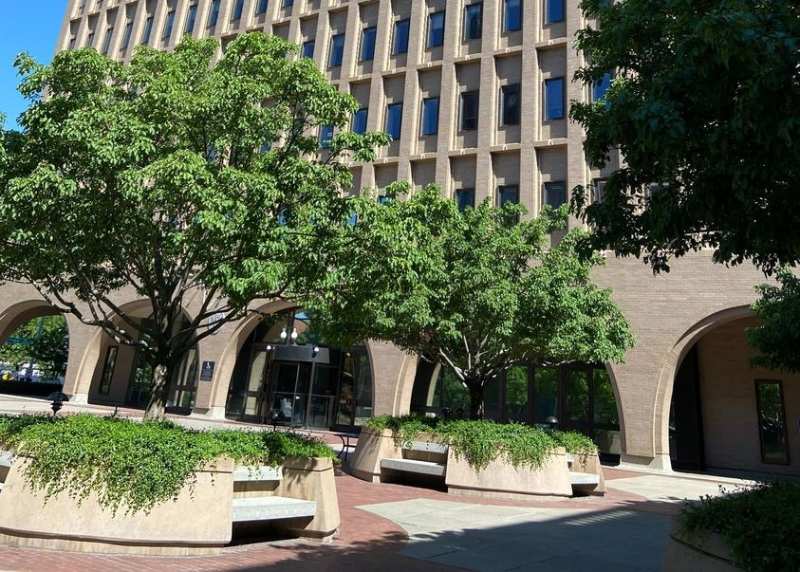 Judge Grants Motion for Attorney Fees | Bloom Law PLLC